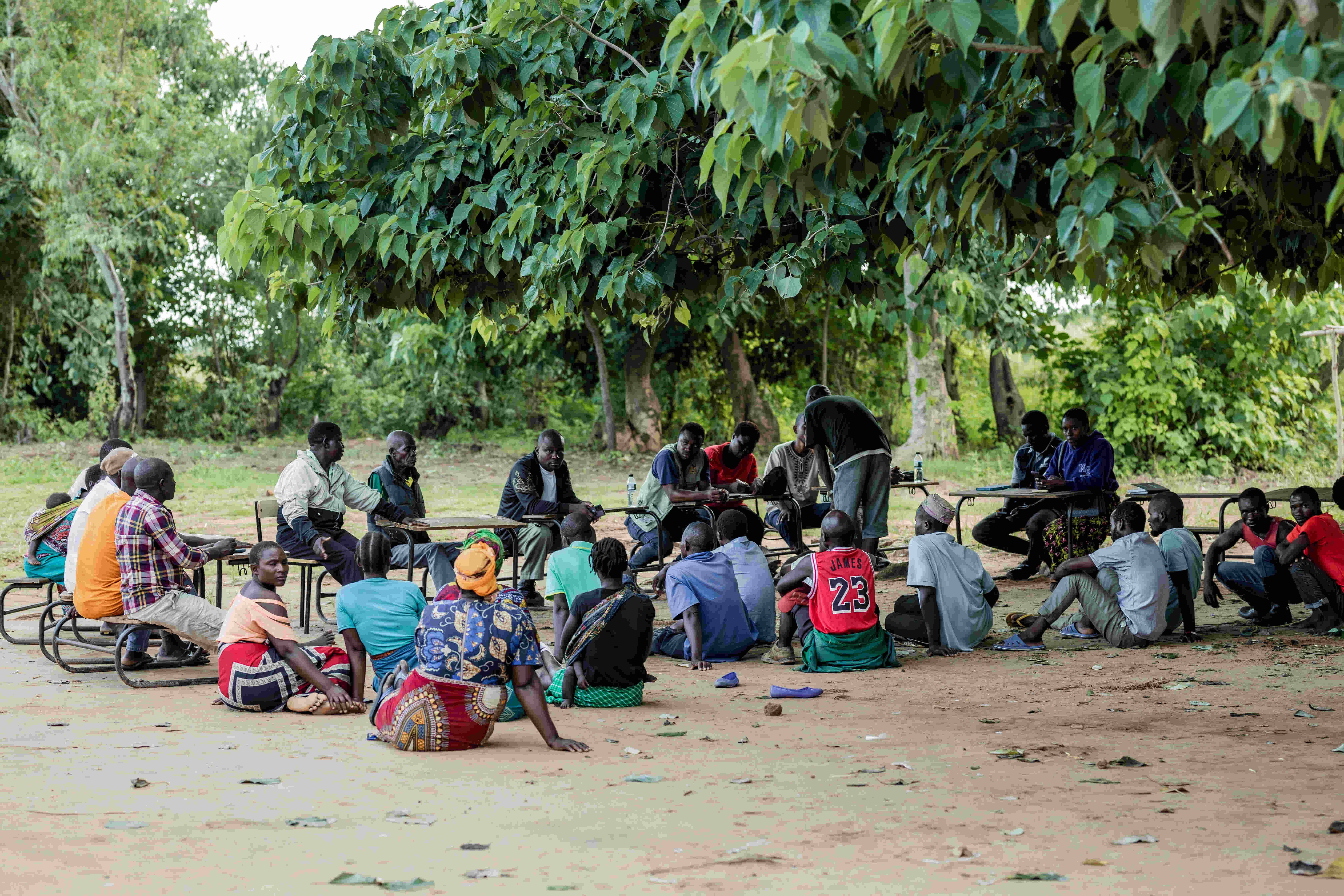 Cross Cutting Thematic Areas | UNICEF-led clusters CCPM site